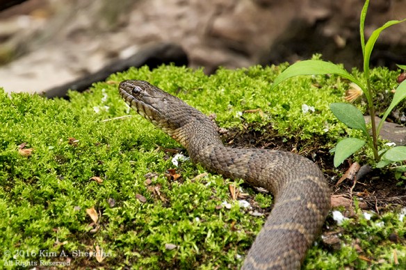 The Hunt for Doan’s Cave | The Wild Edge