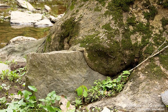 The Hunt for Doan’s Cave | The Wild Edge